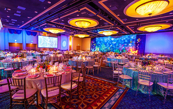 Disney Meetings Blog