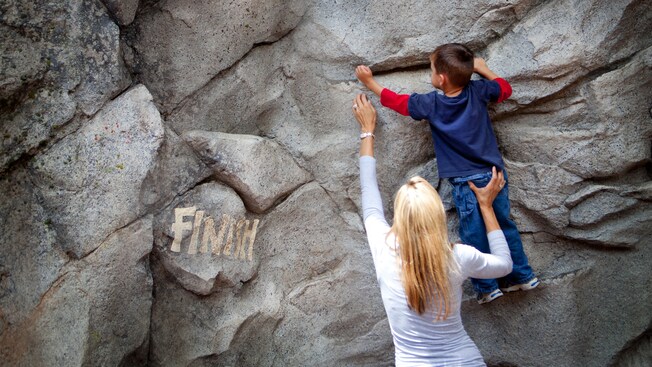 Redwood Creek Challenge Trail | Attractions | Disney California ...