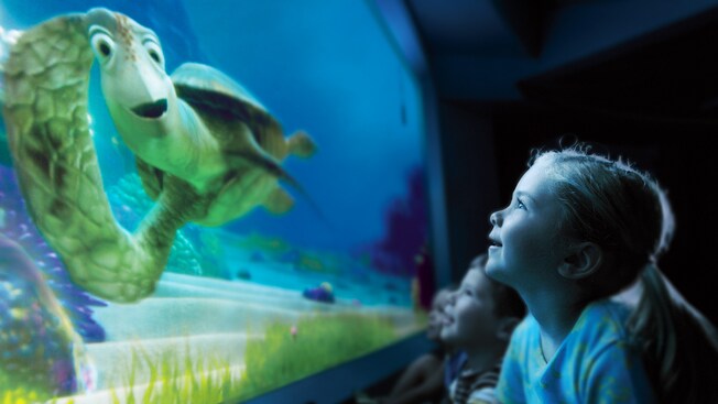 Turtle Talk with Crush | Rides & Attractions | Disney California ...